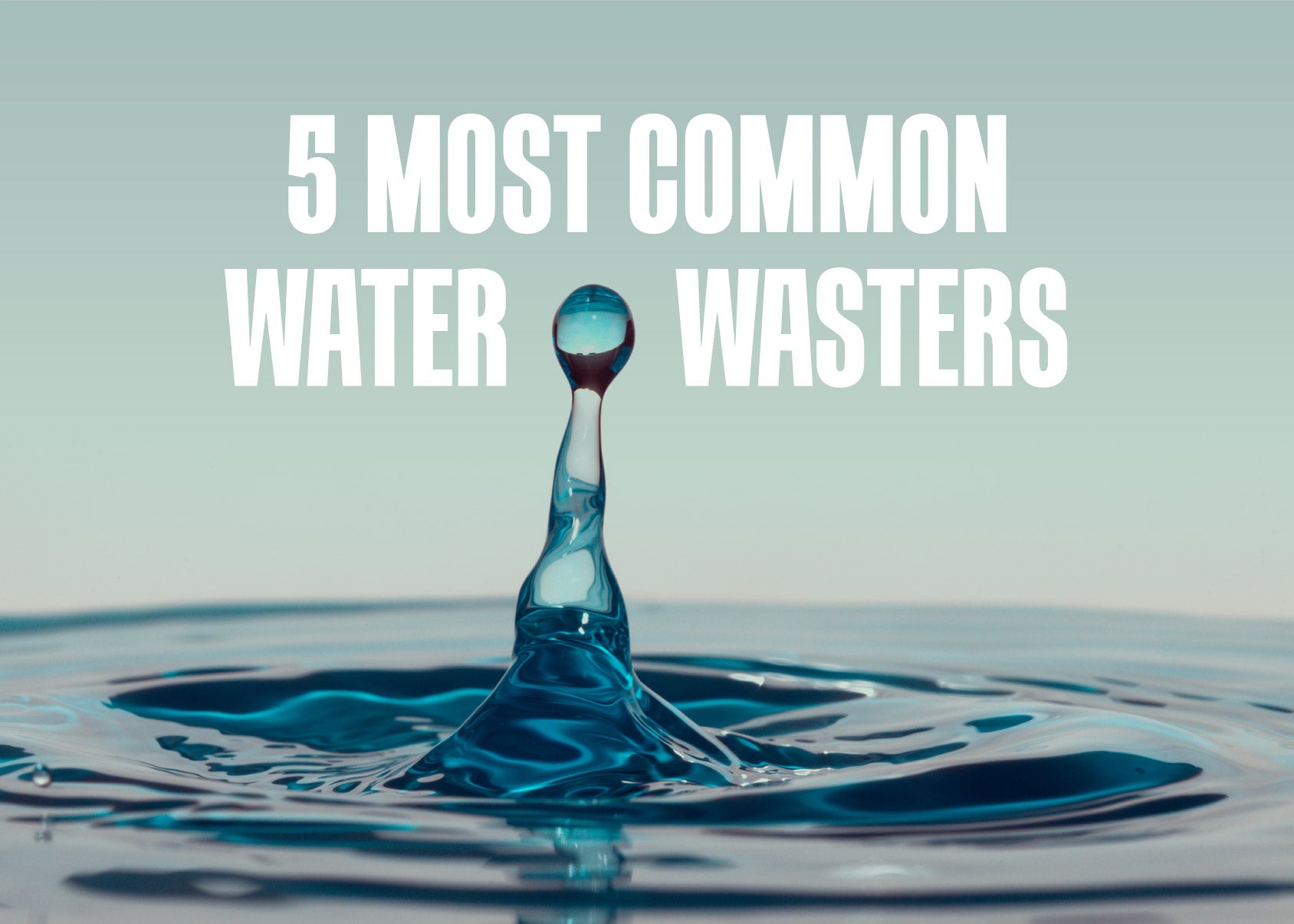 The 5 most common water wasters under your roof – Cert.